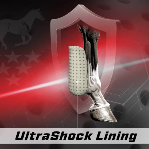 CAÑERAS STRIKE – VitaEquinos