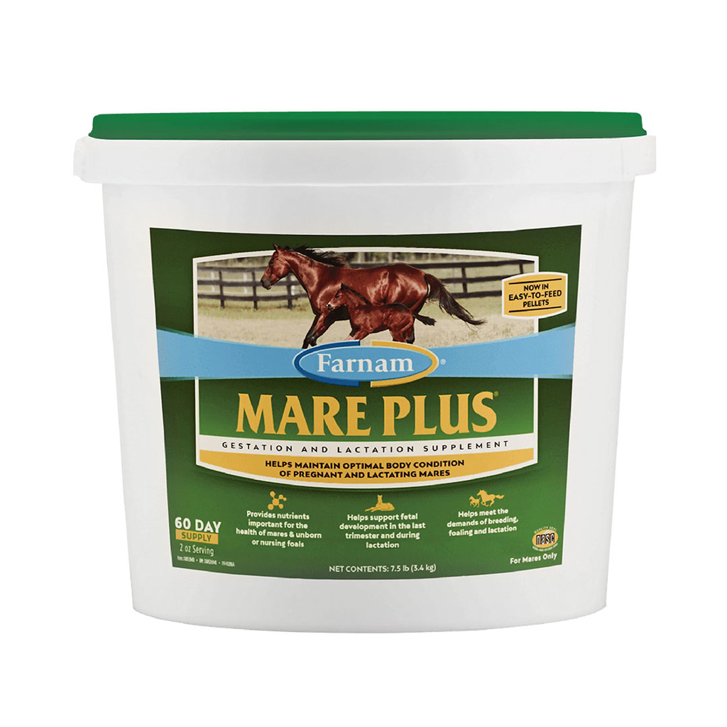 MARE PLUS – VitaEquinos