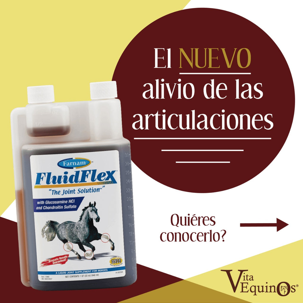 FLUID FLEX – VitaEquinos